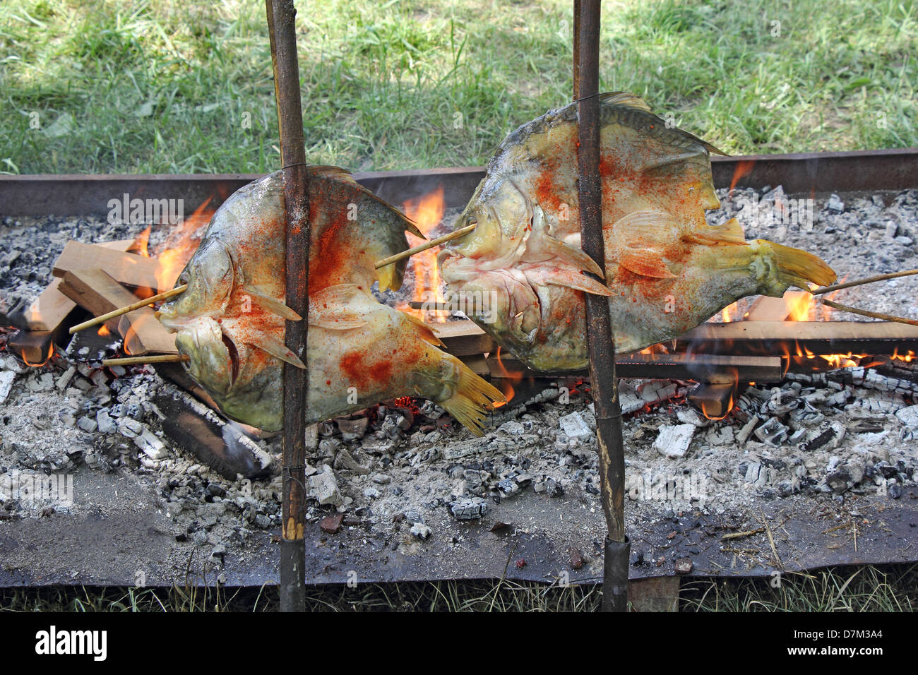 Fire over barbecue in nature hi-res stock photography and images - Alamy