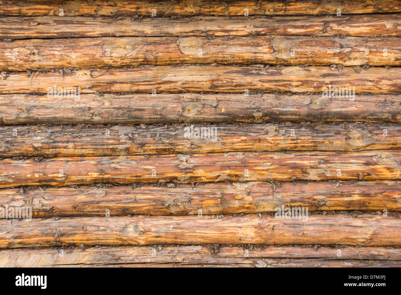 Wall of raw logs texture close up horizontal, traditional country house ...