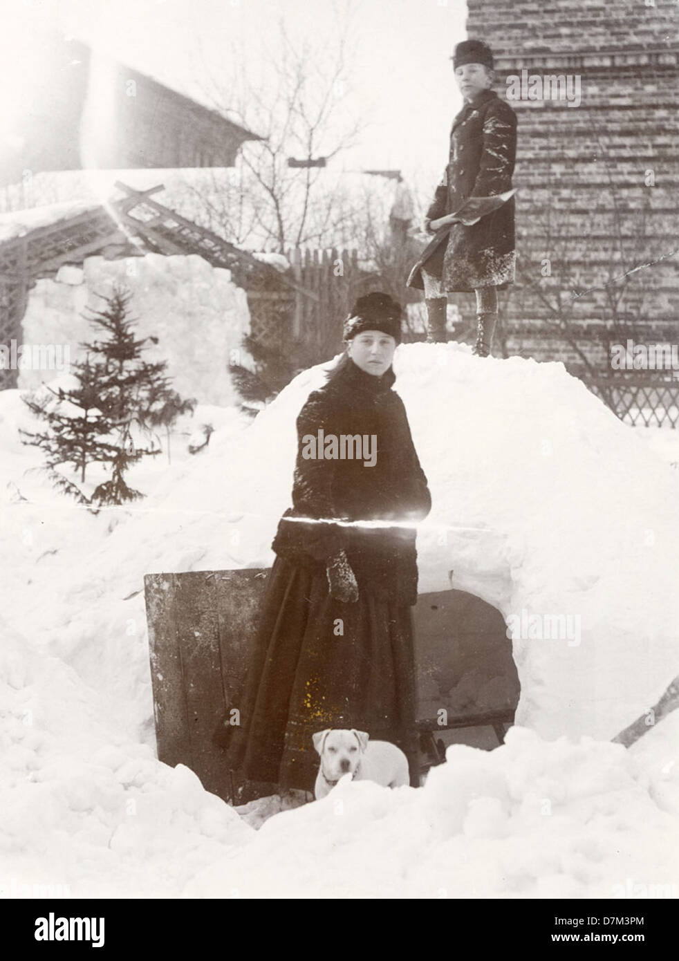 Sigurd, Gunhild and a dog in the snow, Stockholm, Sweden Stock Photo ...