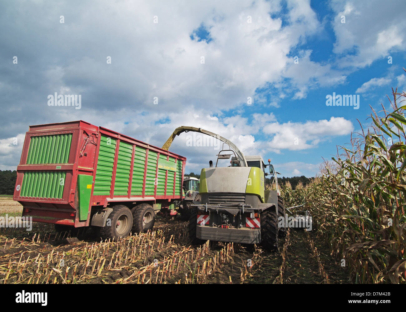 Germany, Corn harvesting with agriculture vehicles Stock Photo - Alamy
