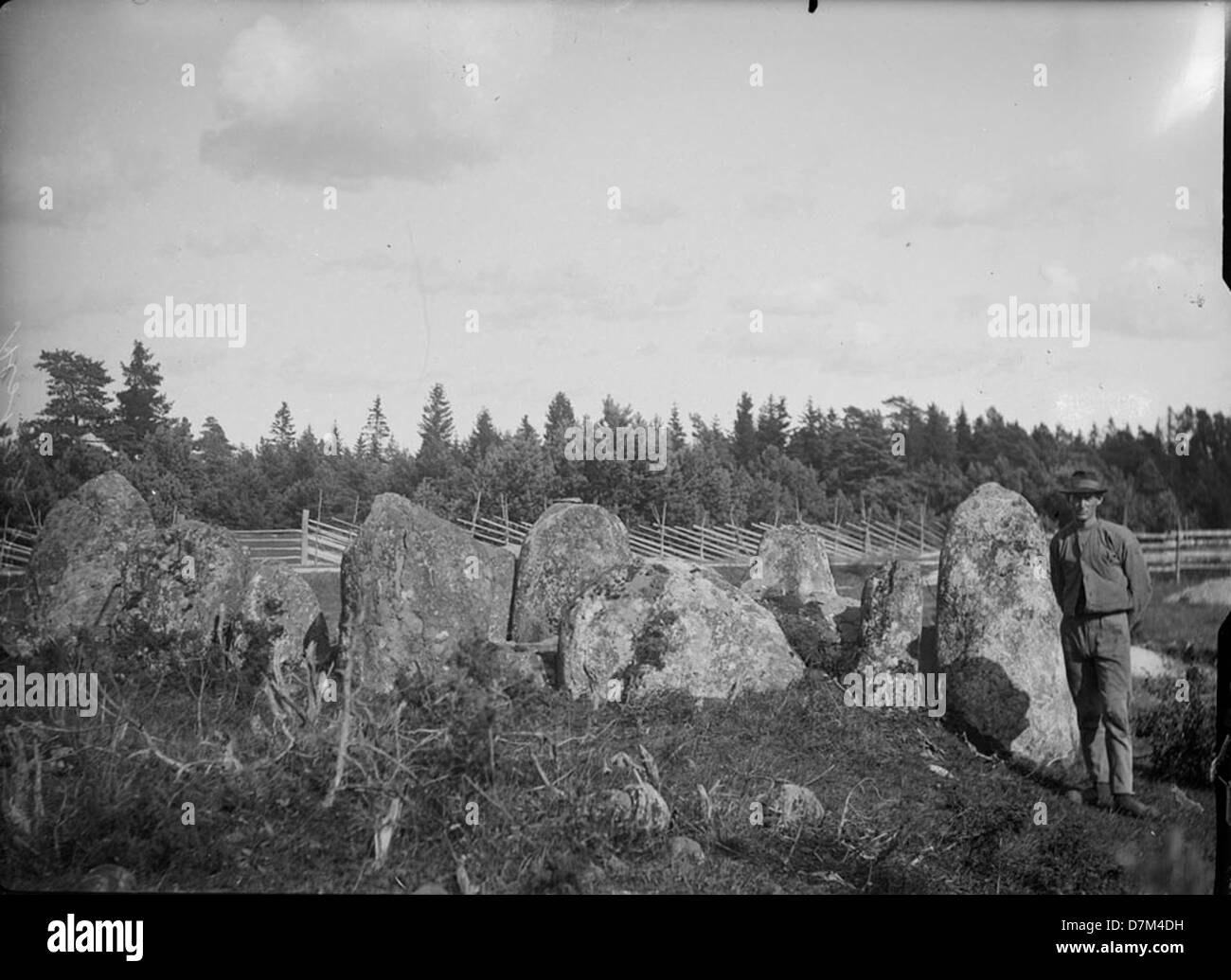 The stone ship at Ollajvs in Alskog, Gotland, Sweden, is an ancient ...