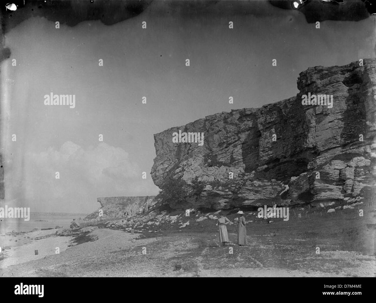 Stora forvar hi-res stock photography and images - Alamy