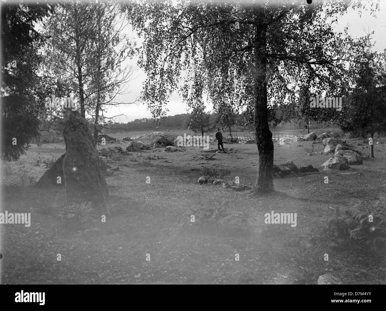 A stone ship formation located in Runsa, Uppland, Sweden. This ancient ...