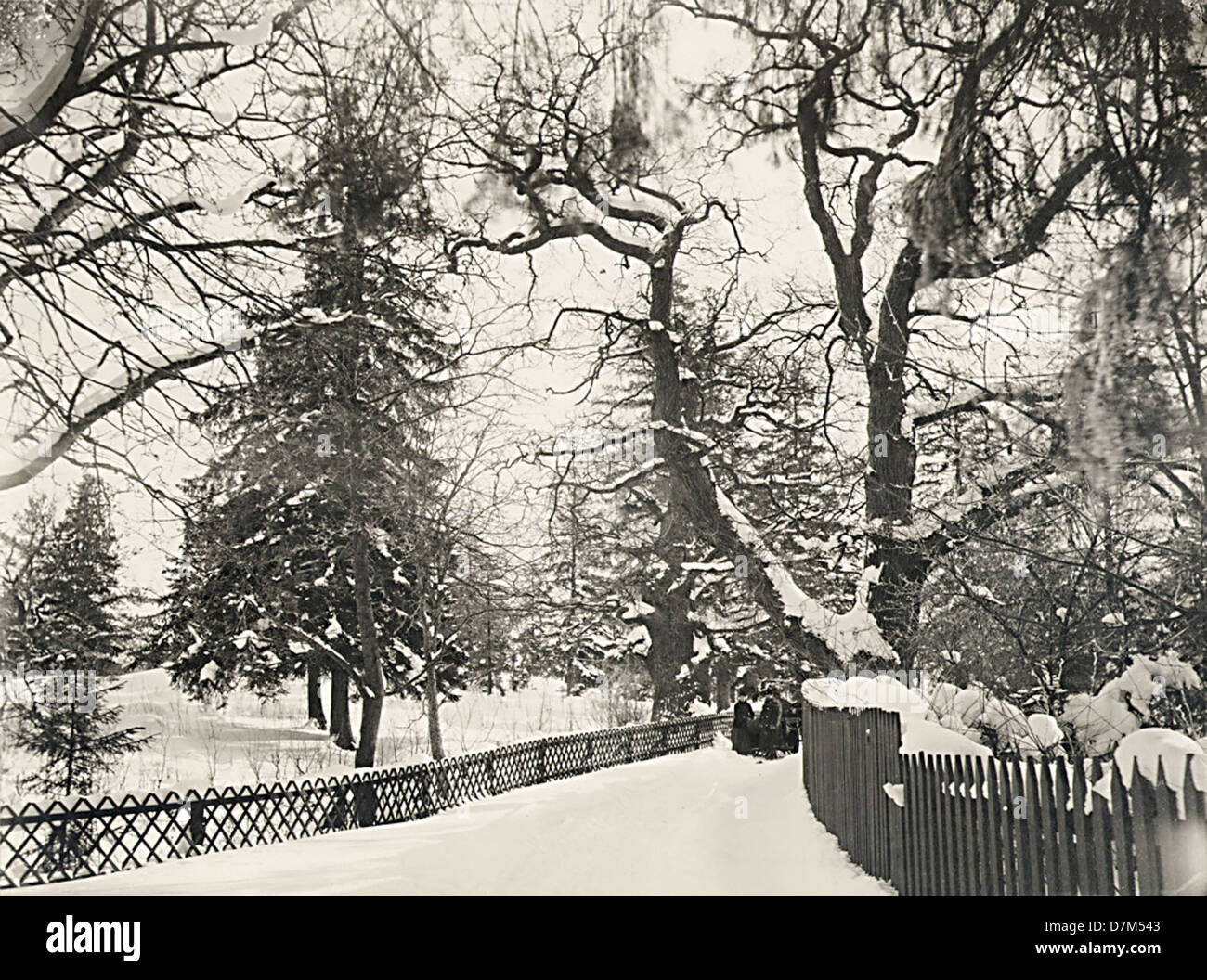 This winter scene from Djurgården, Stockholm, Sweden, shows a snowy ...