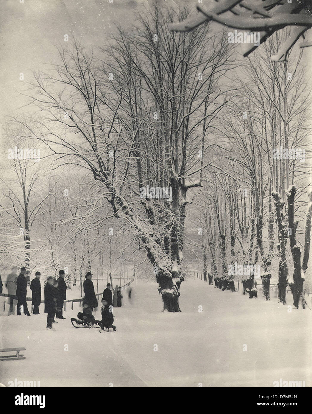 A winter scene in Humlegården park, Stockholm, Sweden, showing a snowy ...