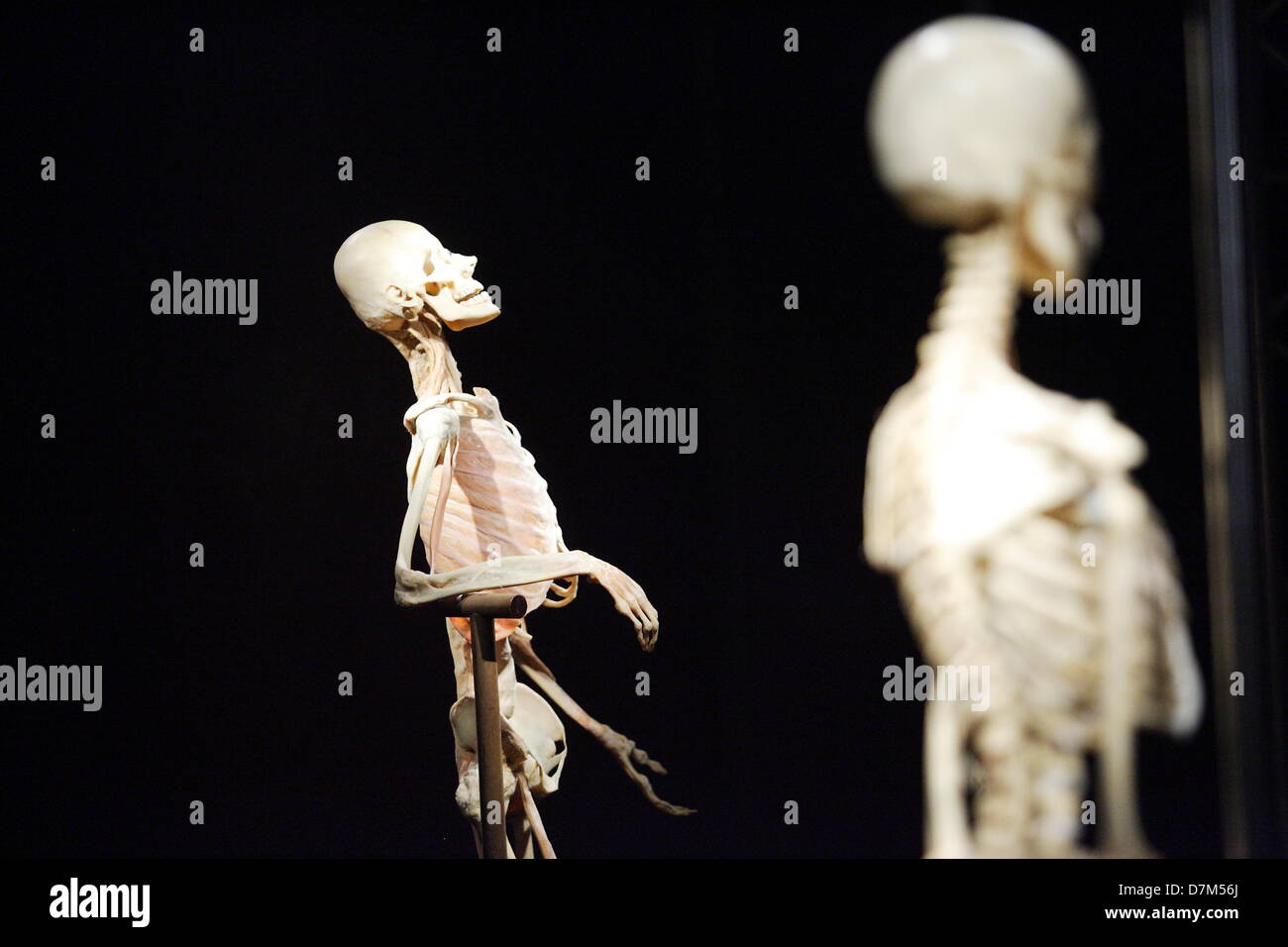 Zmarly hi-res stock photography and images - Alamy