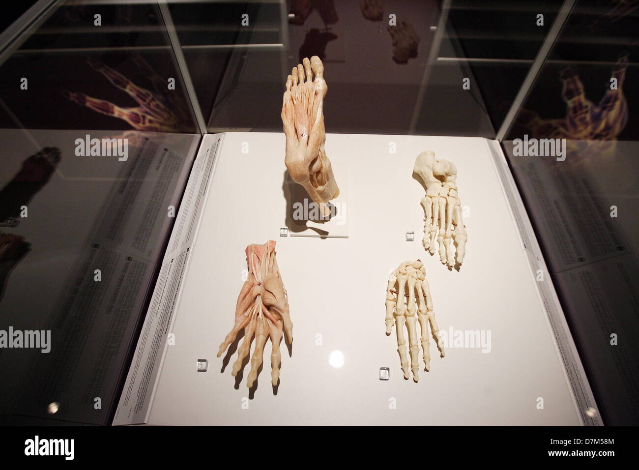 Zmarly hi-res stock photography and images - Alamy