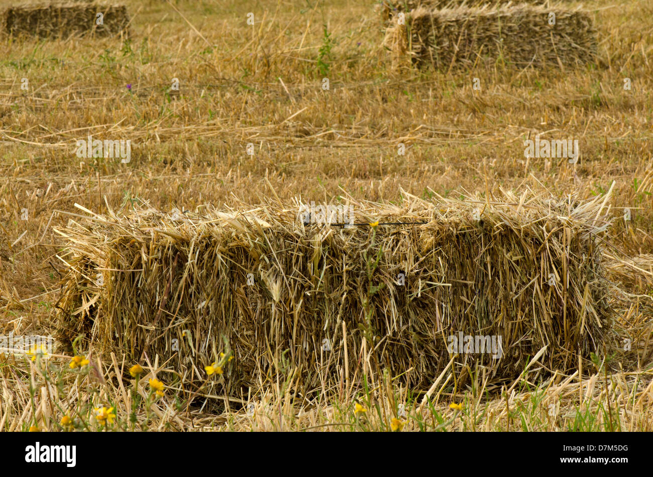 Hay bale hay hi-res stock photography and images - Alamy