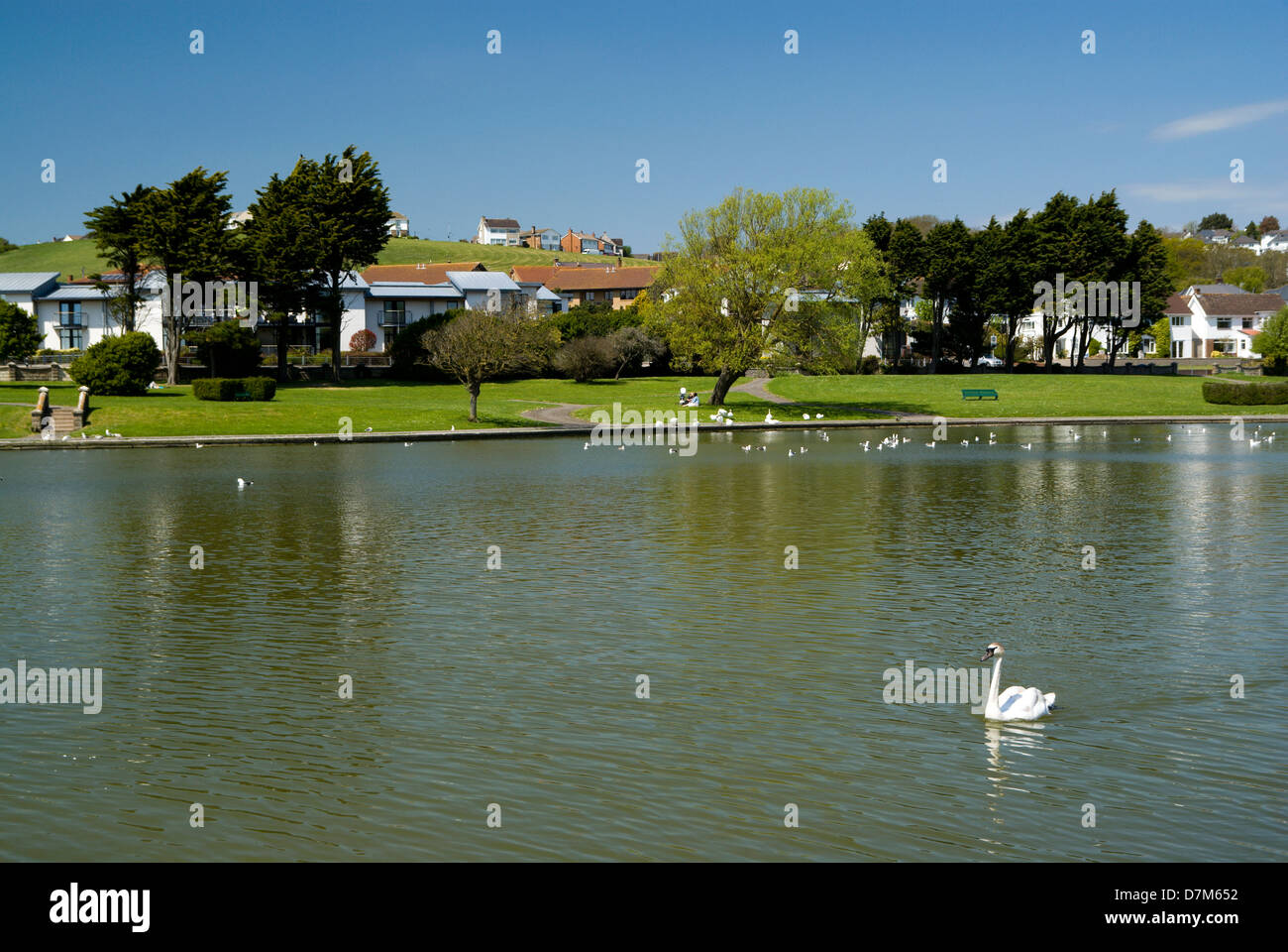 Cold knap boating lake hi-res stock photography and images - Alamy