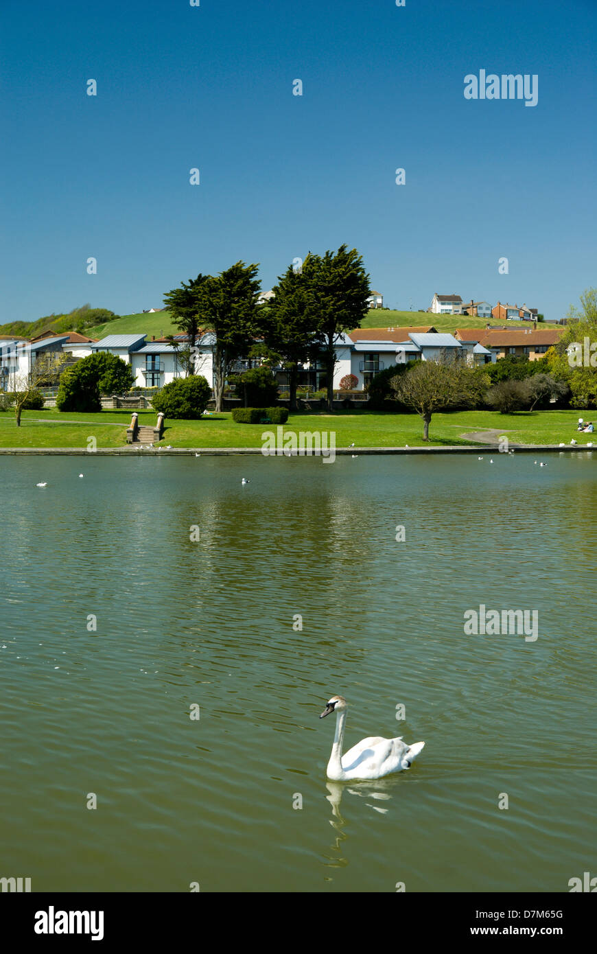 Cold knap boating lake hi-res stock photography and images - Alamy