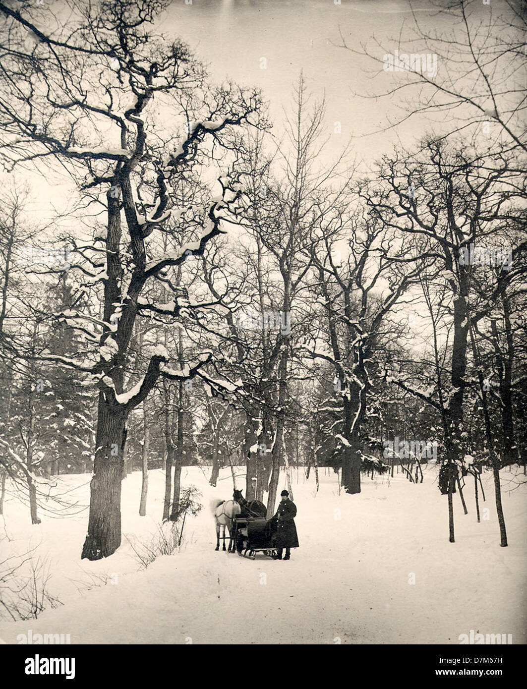 This image depicts Djurgården park in Stockholm, Sweden, during winter ...