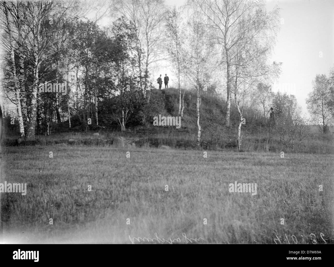 A photograph of King's Mound, a prehistoric burial site located in ...