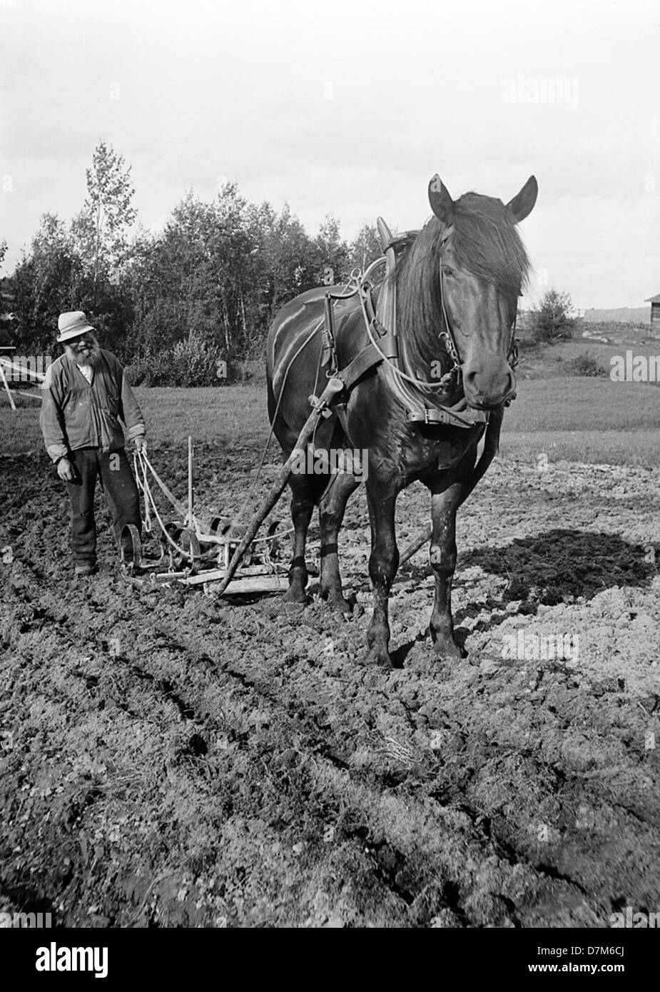 Ploughing tools hi-res stock photography and images - Alamy