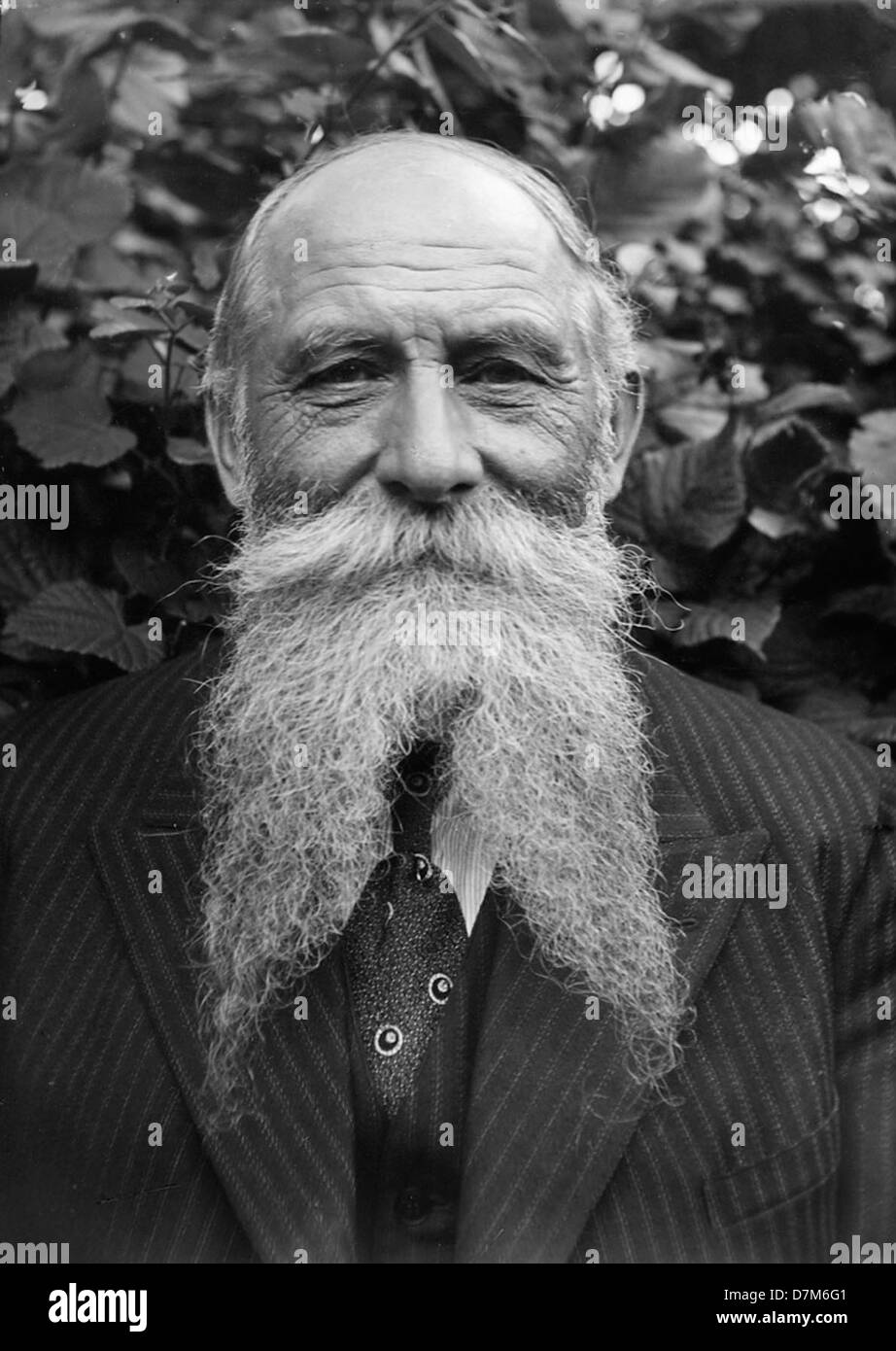 Olof_nilsson hi-res stock photography and images - Alamy Olof_nilsson hi-res stock photography and images - Alamy