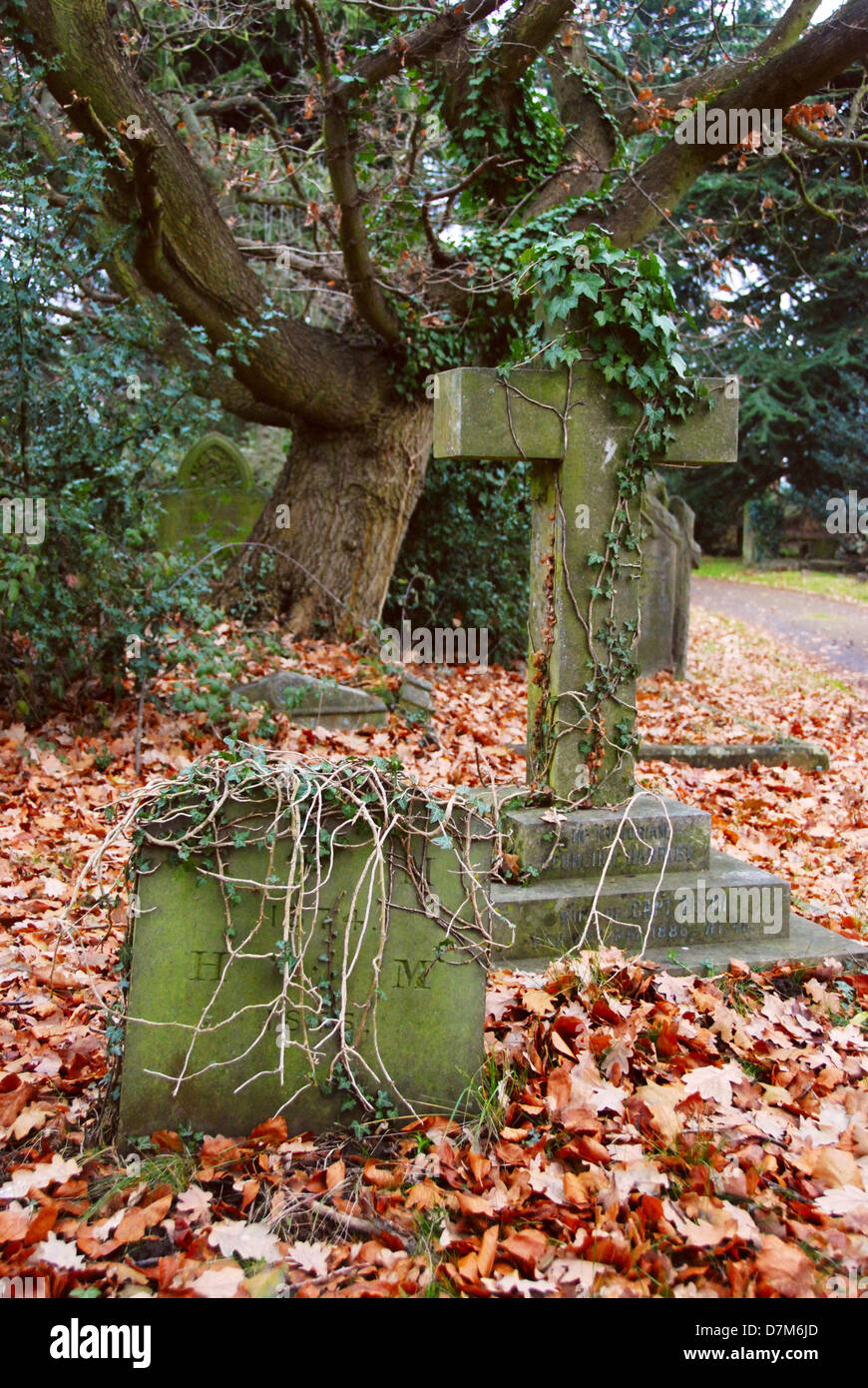 Overgrown graveyard in autumn Stock Photo - Alamy