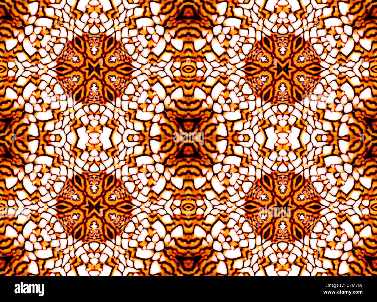 Repeating pattern made from image of Textile Cone shell (Conus textile ...
