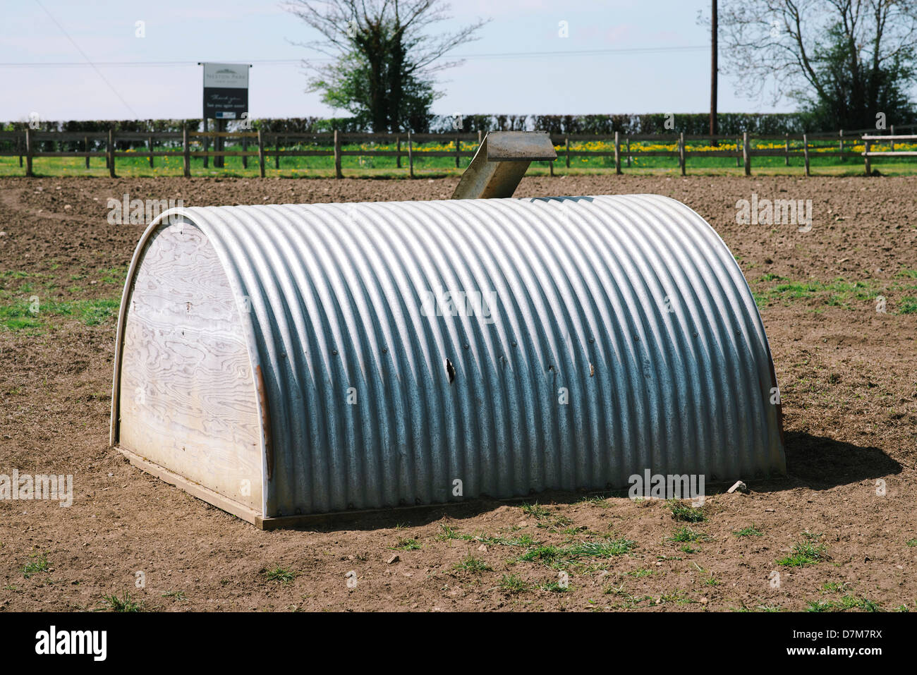 Organic pig hi-res stock photography and images - Alamy