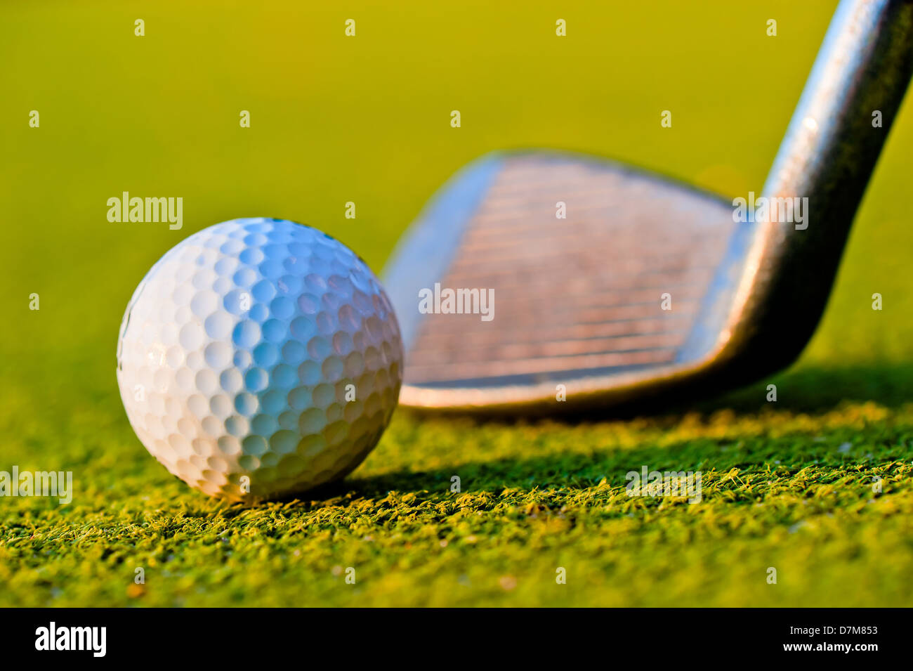Golf ball on the field Stock Photo - Alamy