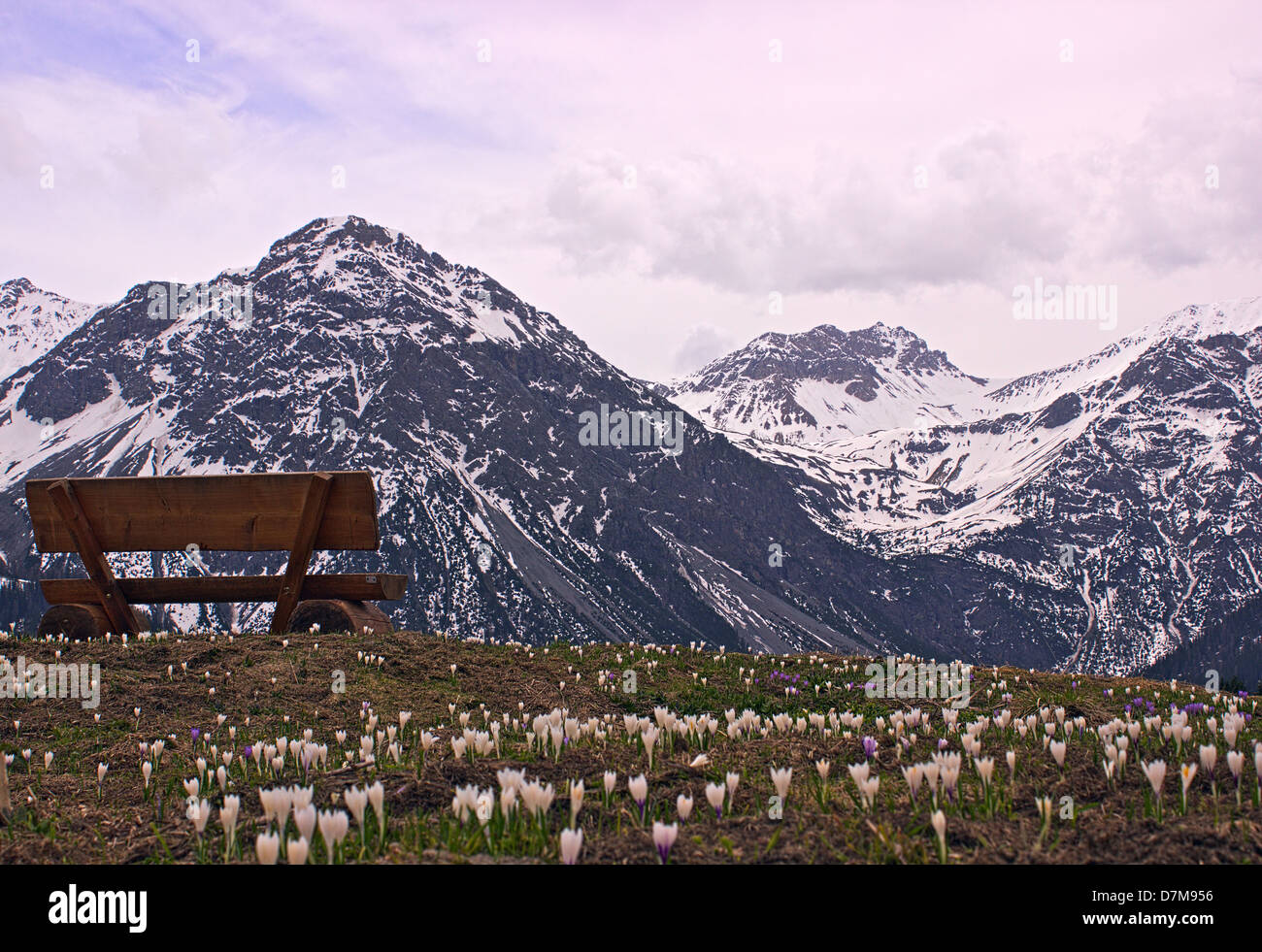 Bench with a view by the Alps Stock Photo - Alamy