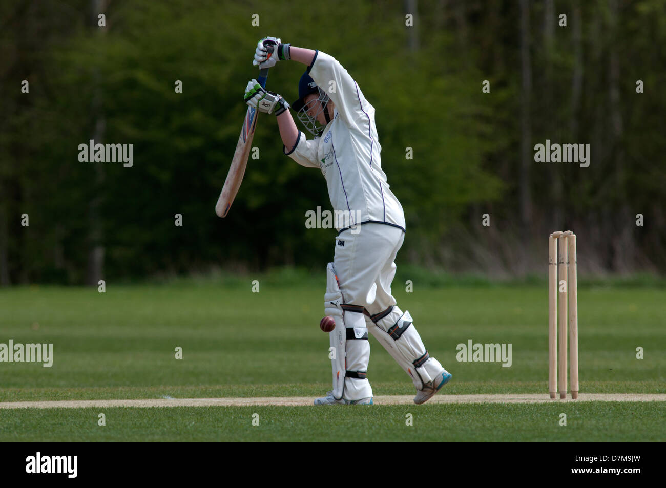 University sport, ladies cricket Stock Photo - Alamy