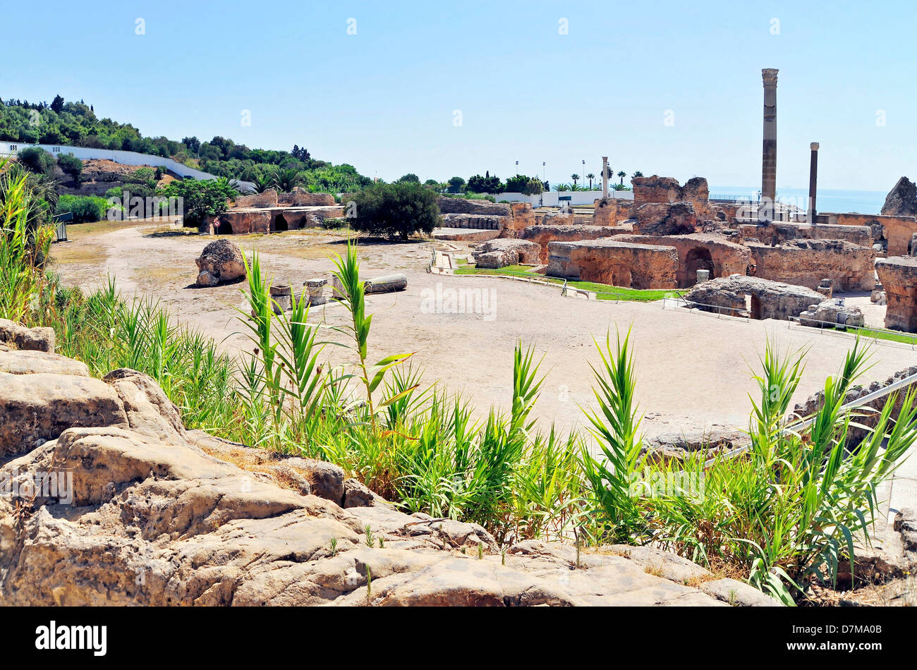Africa, Tunisia, Carthage, Carthago, Ruins of Carthage Stock Photo - Alamy