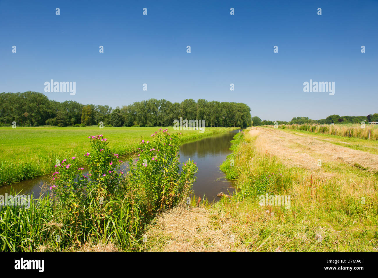 Landscape at Schoonoord estate in Zeist Holland Stock Photo - Alamy