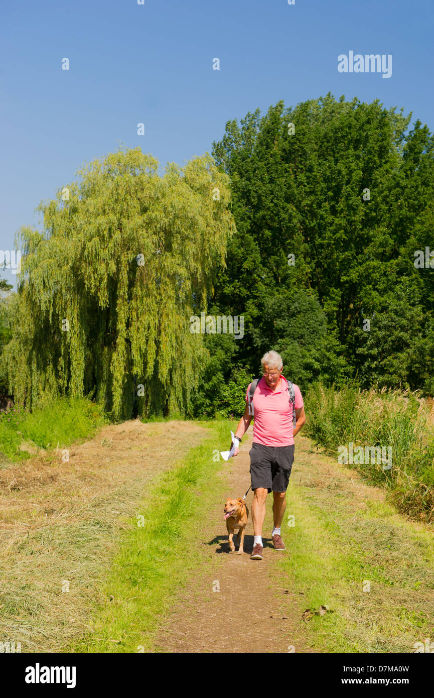Walking with dog in nature landscape Stock Photo - Alamy