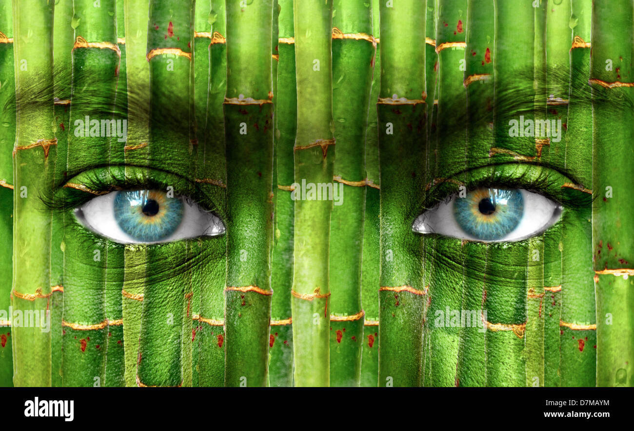 Natural tree with human face hi-res stock photography and images - Alamy