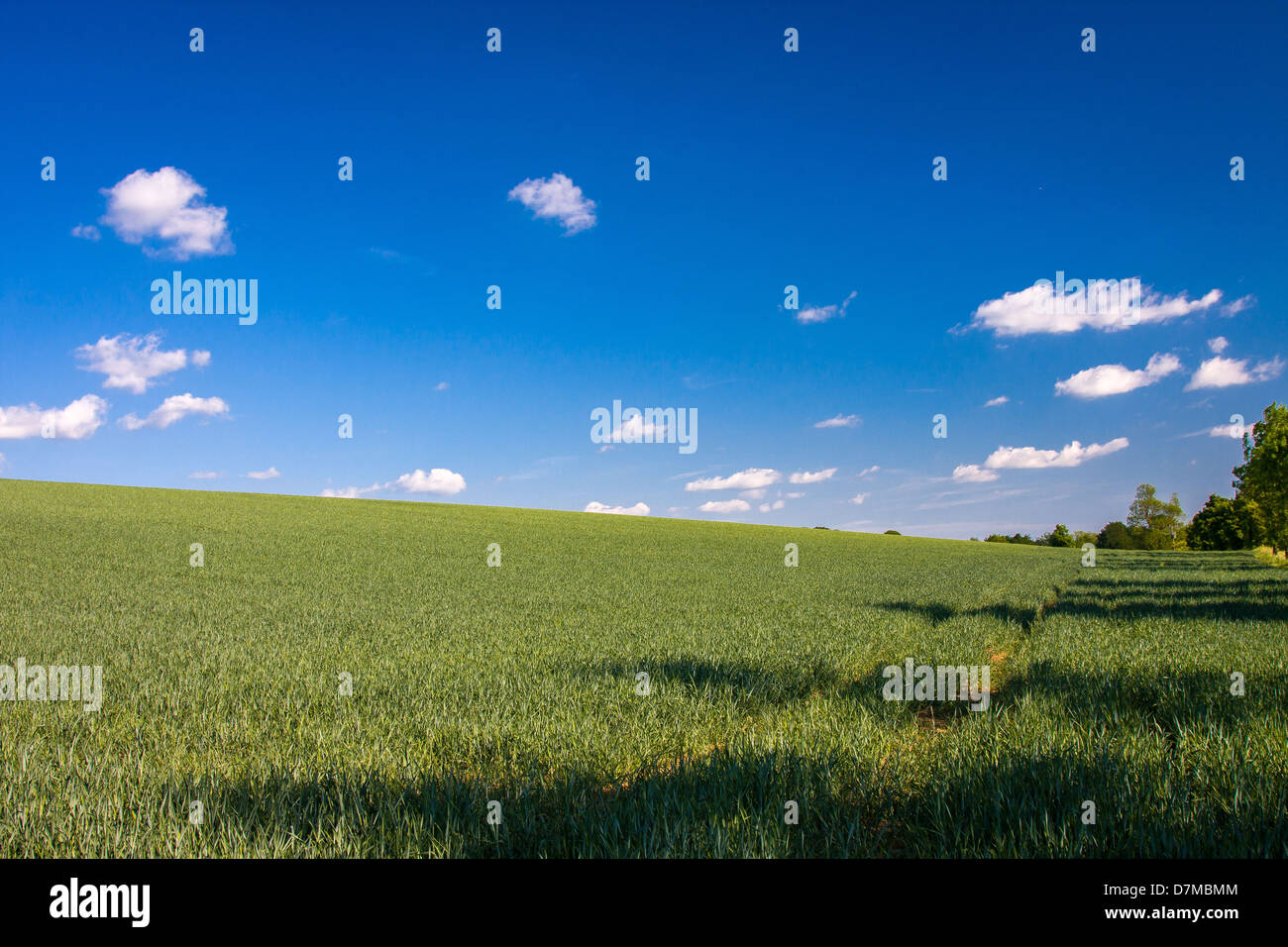 Clouds green screen hi-res stock photography and images - Alamy