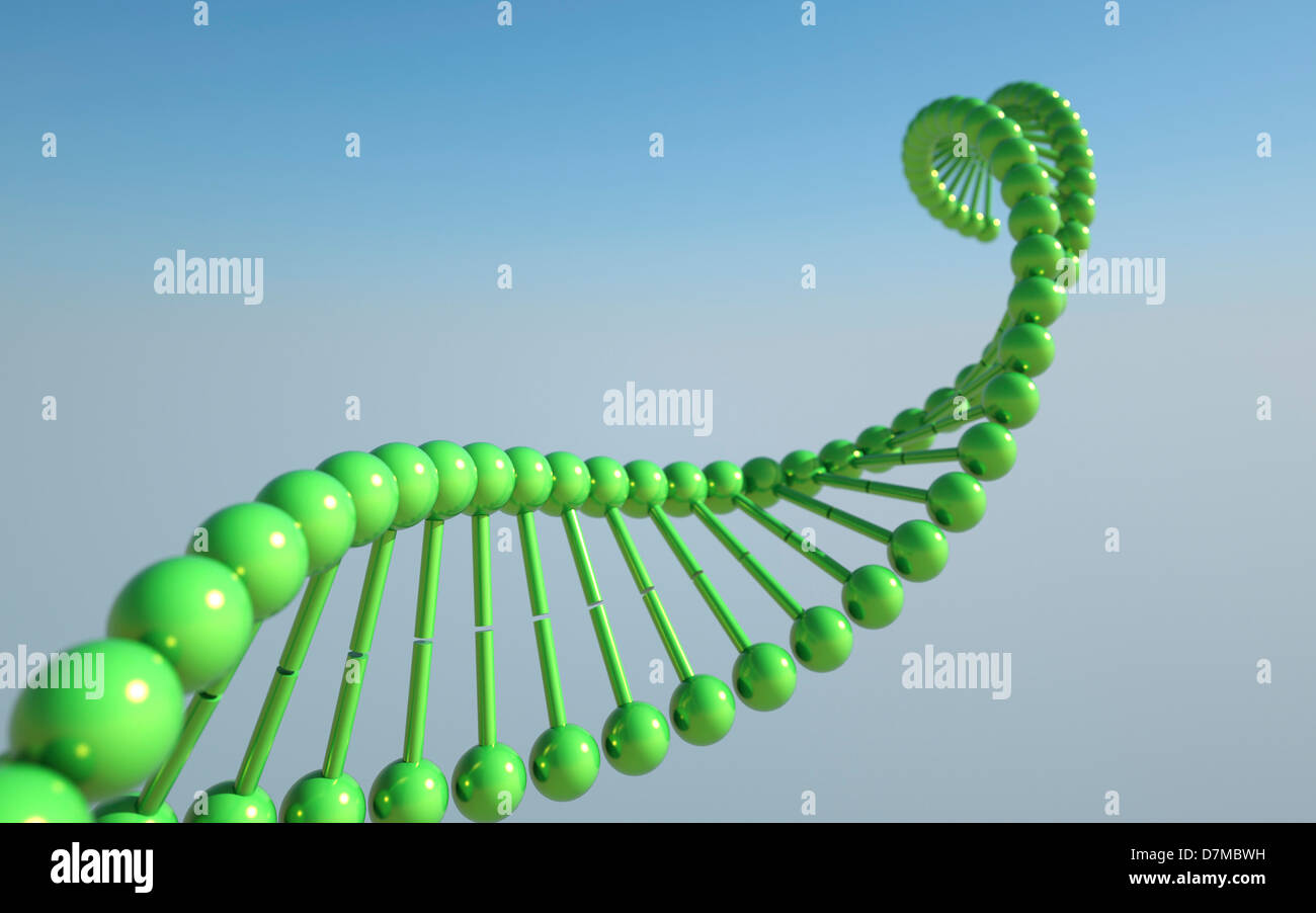 DNA molecule, artwork Stock Photo - Alamy