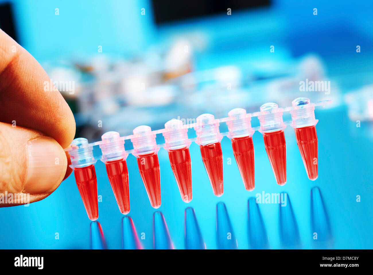 Microtubes High Resolution Stock Photography and Images - Alamy