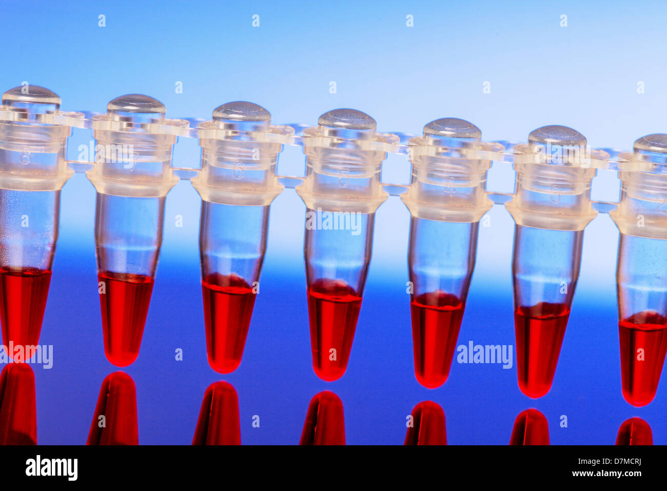 Microtubes High Resolution Stock Photography and Images - Alamy