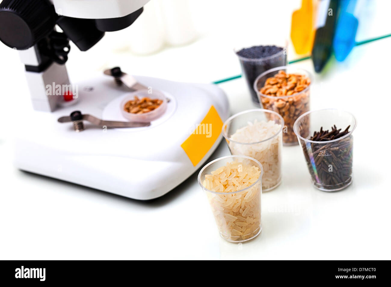 Food research, conceptual image Stock Photo - Alamy