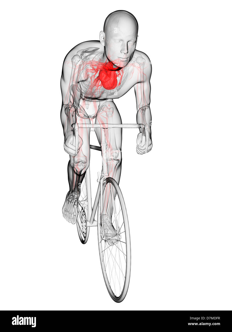 Cyclist view Cut Out Stock Images & Pictures - Alamy
