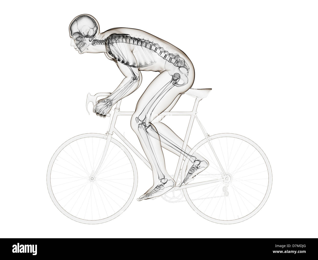 Cyclist side view white background Cut Out Stock Images & Pictures - Alamy