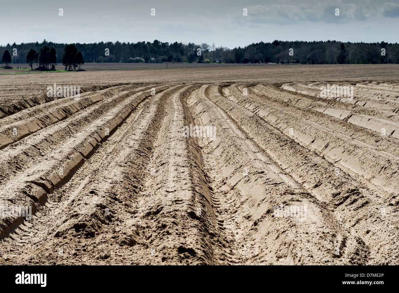 Furrows ploughed field hi-res stock photography and images - Alamy