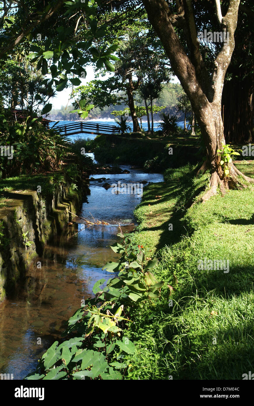 River at Ste. Rose on Reunion island, France Stock Photo - Alamy