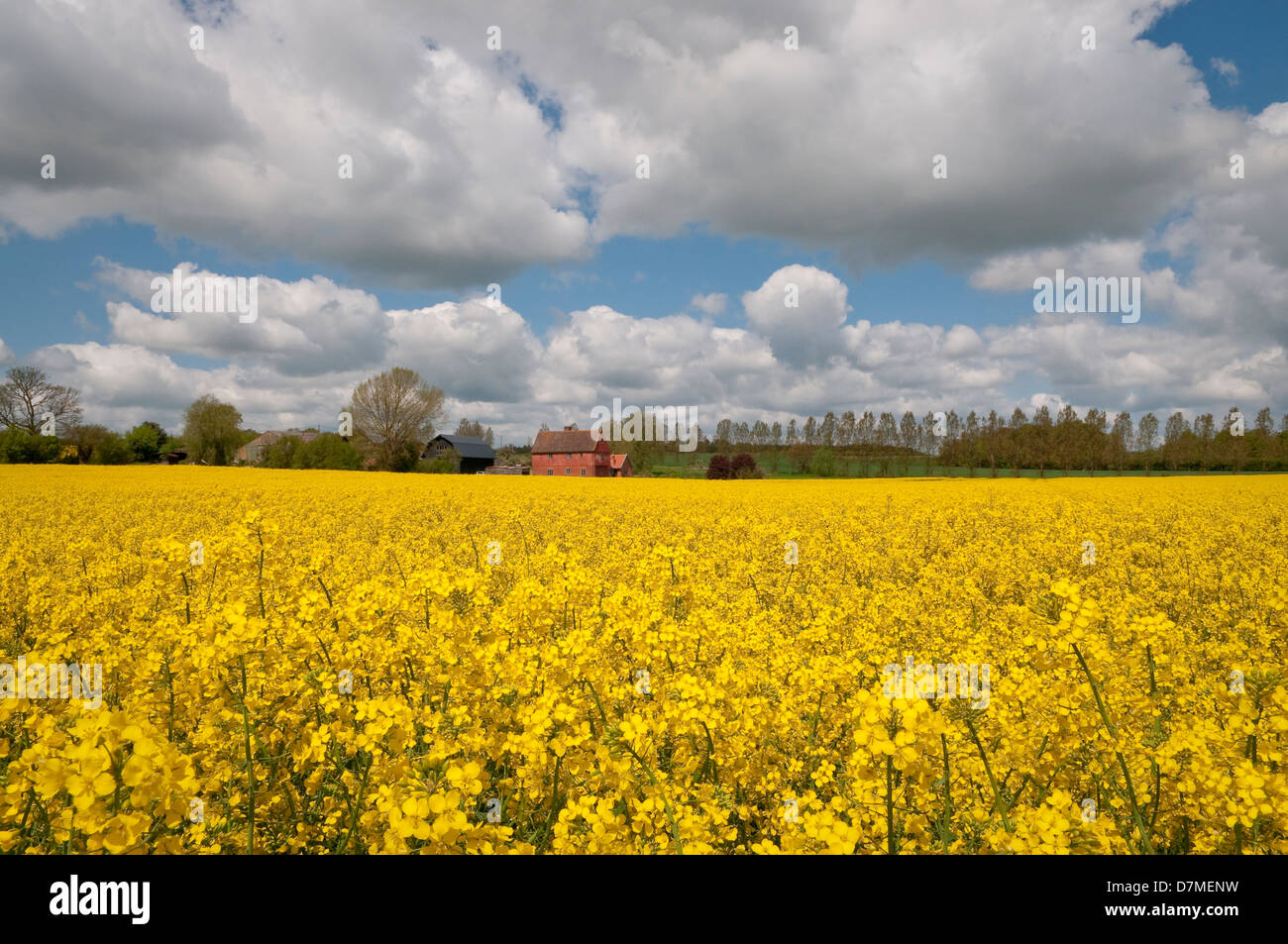 Suffolk rural landscape near Kersey Stock Photo - Alamy