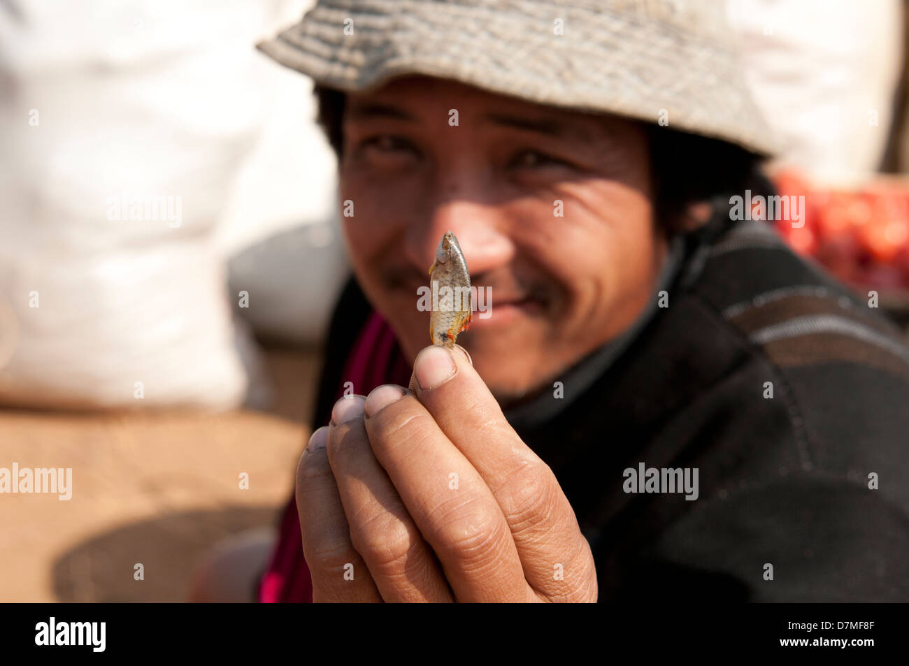 Man holding tiny fish in hi-res stock photography and images - Alamy