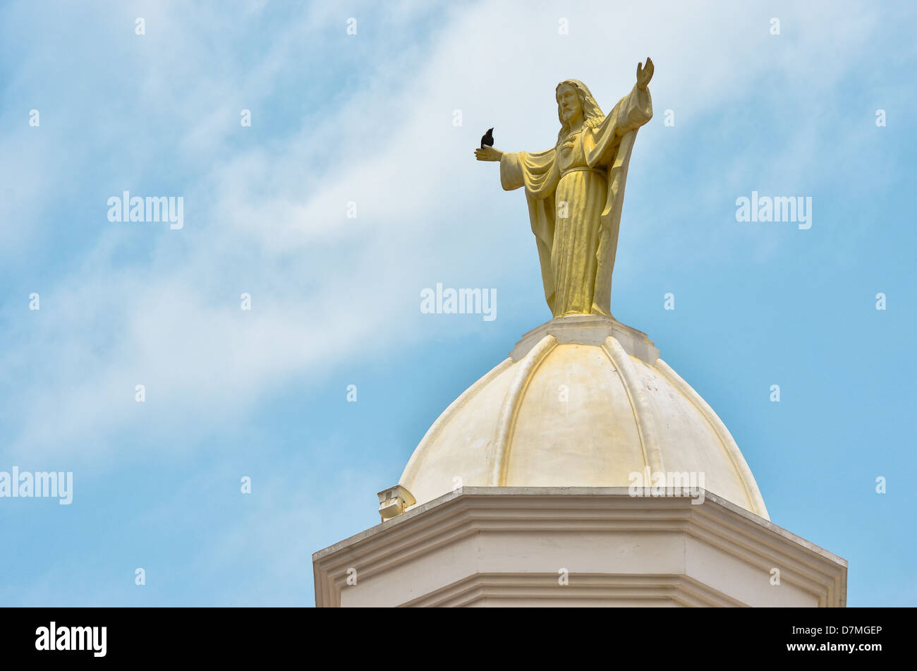 A crow is resting in the hands of Lord Jesus peacefully Stock Photo - Alamy