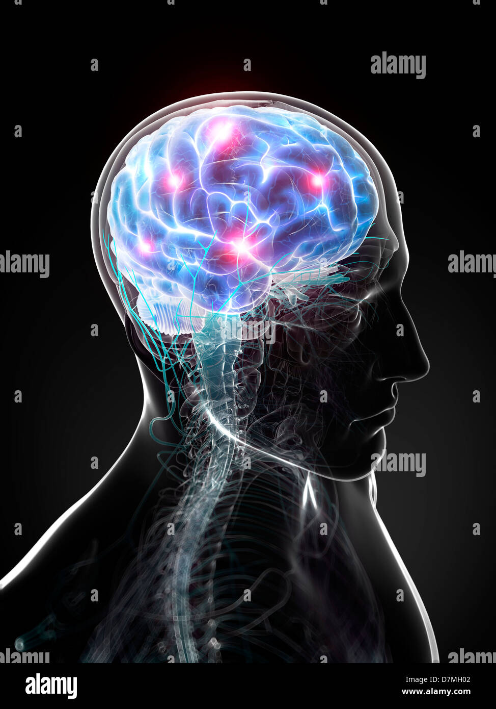 Brain activity, artwork Stock Photo - Alamy