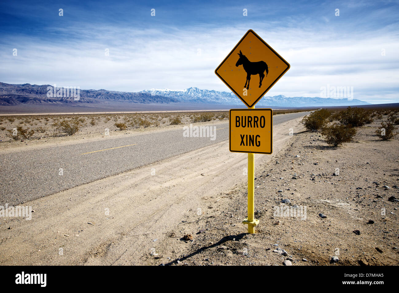 Burro and donkey crossing sign alongside a road in the desert Stock ...