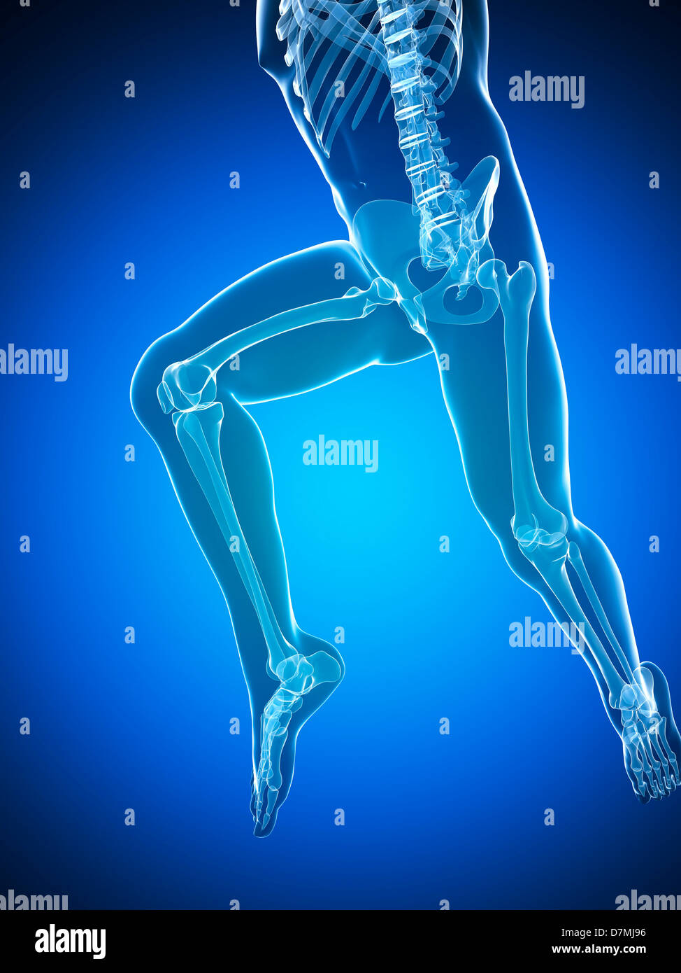 Running skeleton, artwork Stock Photo - Alamy