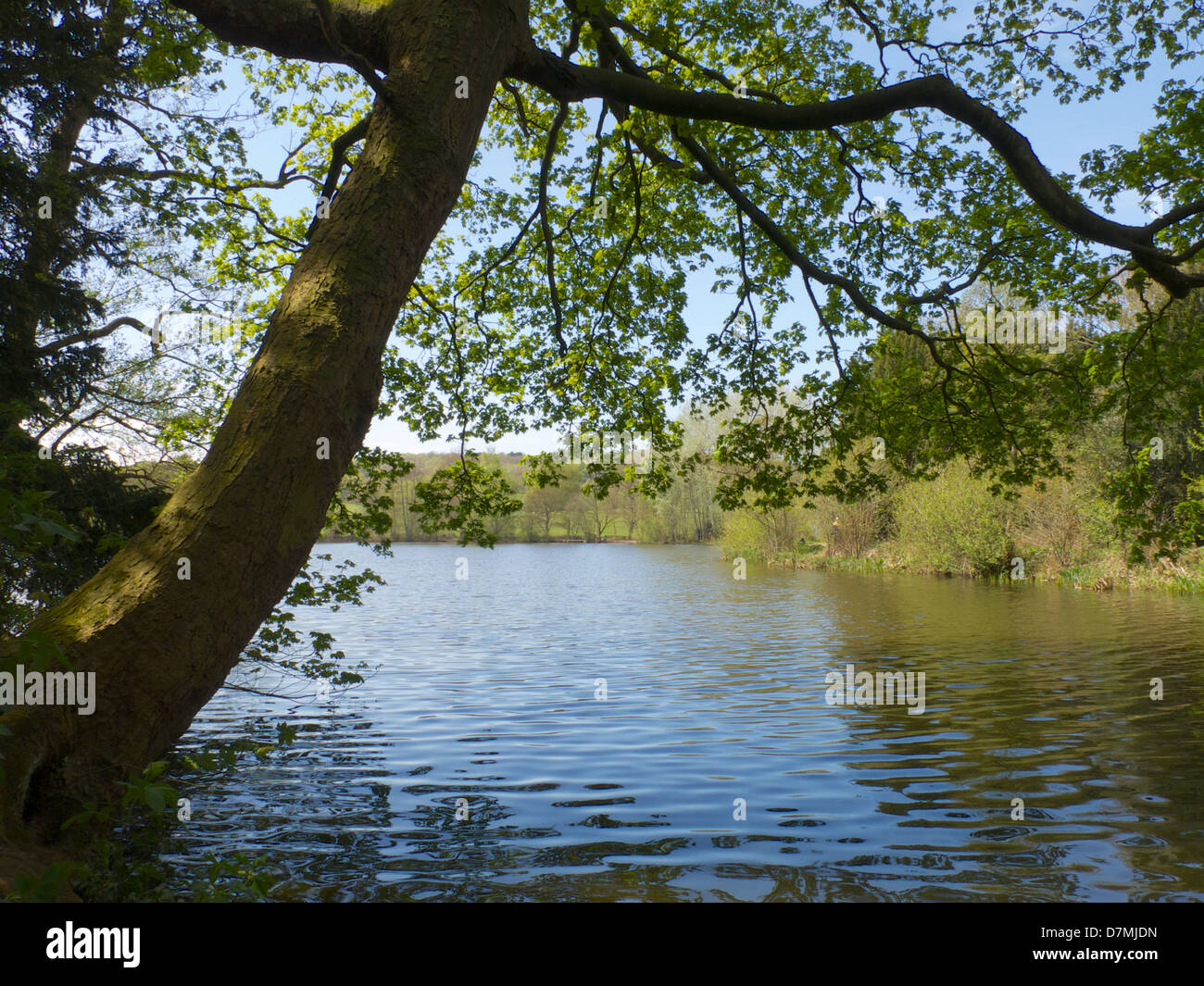 Allestree hi-res stock photography and images - Alamy