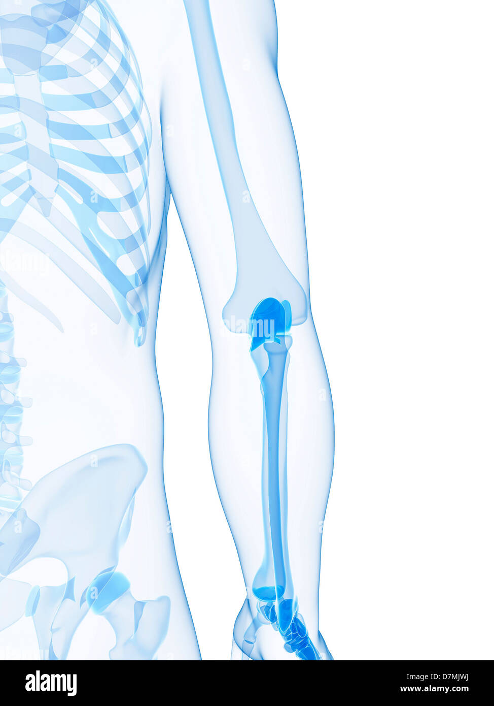 Rib joint hi-res stock photography and images - Alamy