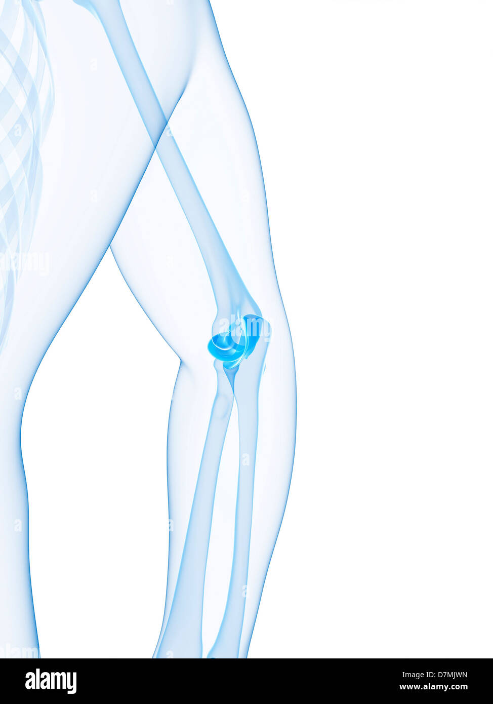 Elbow joint artwork hi-res stock photography and images - Alamy