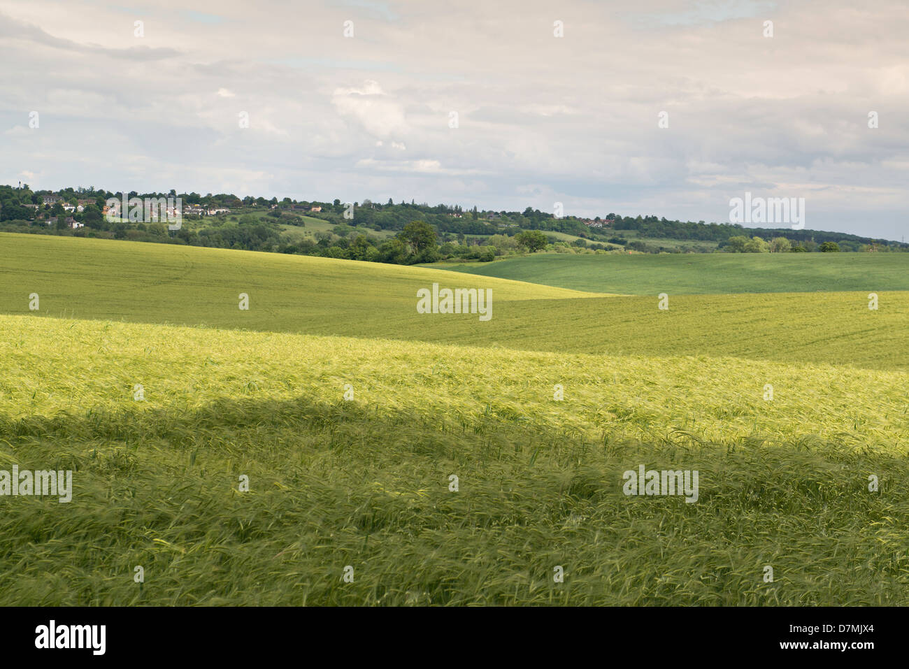 Route of HS2 Railway London to Birmingham Maples Cross Buckinghamhire ...