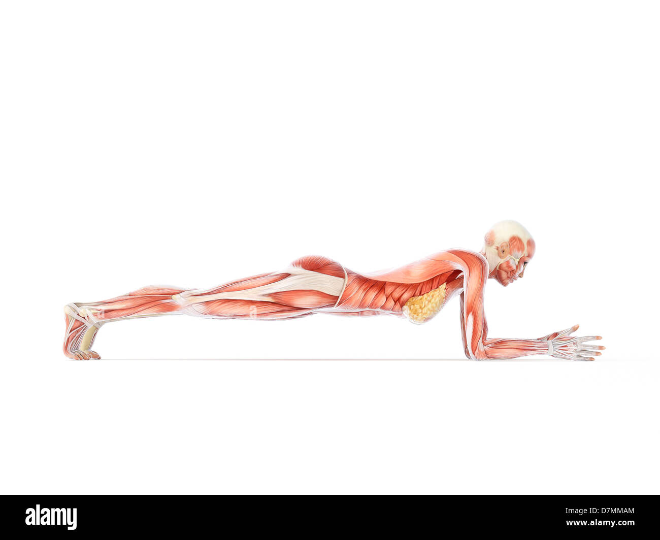 Well being yoga Cut Out Stock Images & Pictures - Alamy