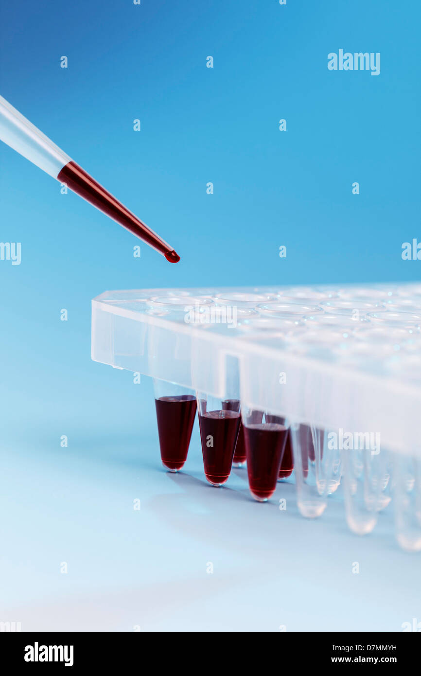 Pipetting into microtubes Stock Photo - Alamy