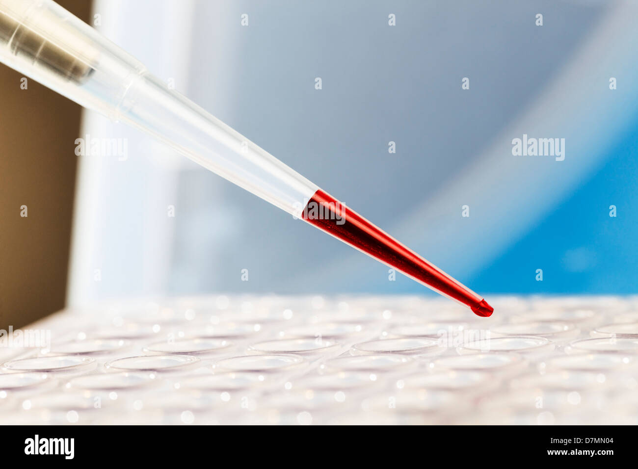 Pipetting into microtubes Stock Photo - Alamy